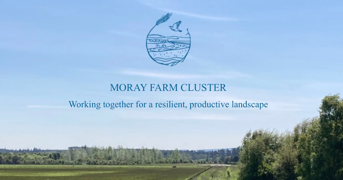 Moray Farm Cluster